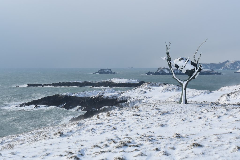 Cow up a Tree - John Kelly Artist